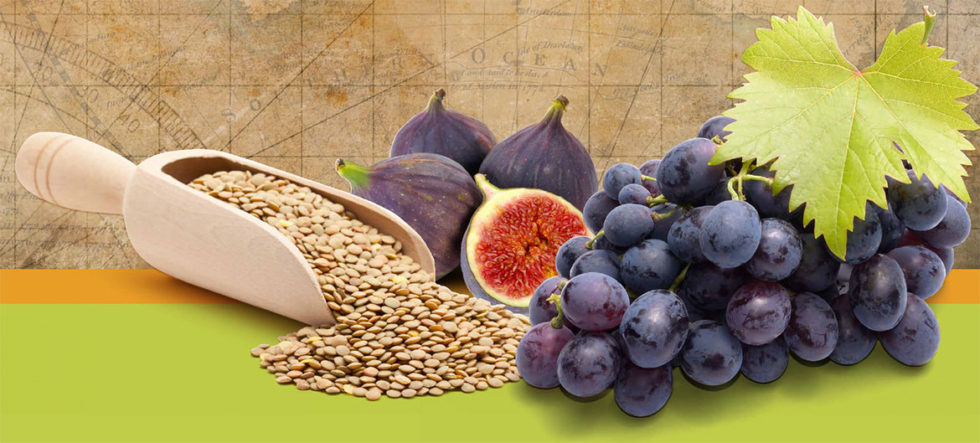 The Company | Demos Ciclitira