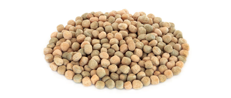 MARROWFAT PEAS | Demos Ciclitira